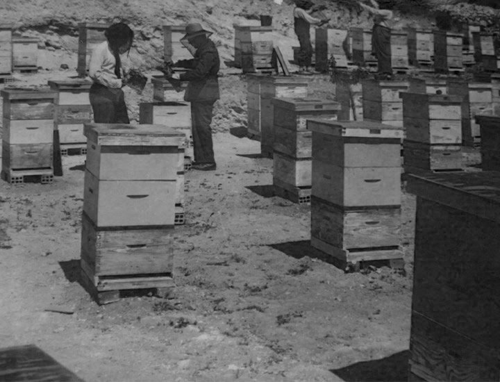 La Moderna Apicultura: una mielería con historia - Tapas Magazine