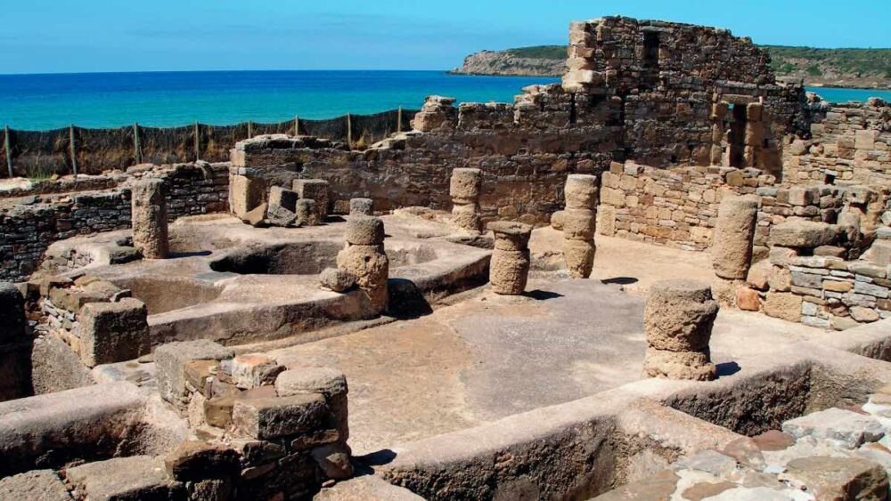 De Astérix a Tácito: así es el garum, la salsa gourmet que conquistó a ...