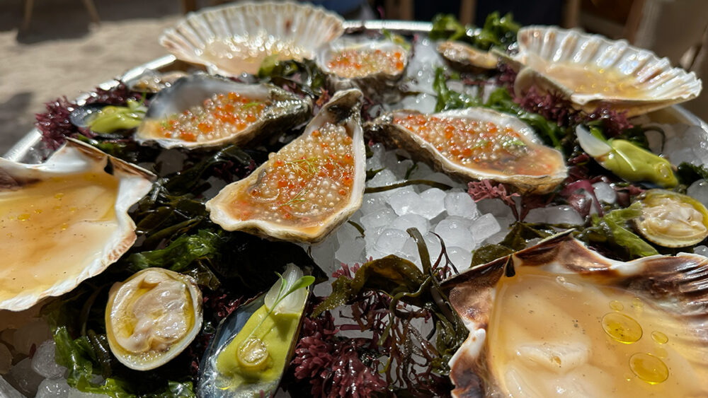 This was Casa Jondal's menu for the III Forum of the Academies of ...