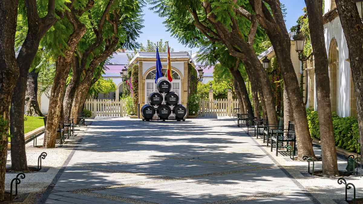 Así es Toro Tapas, tapeo y vinos en El Puerto de Santa María