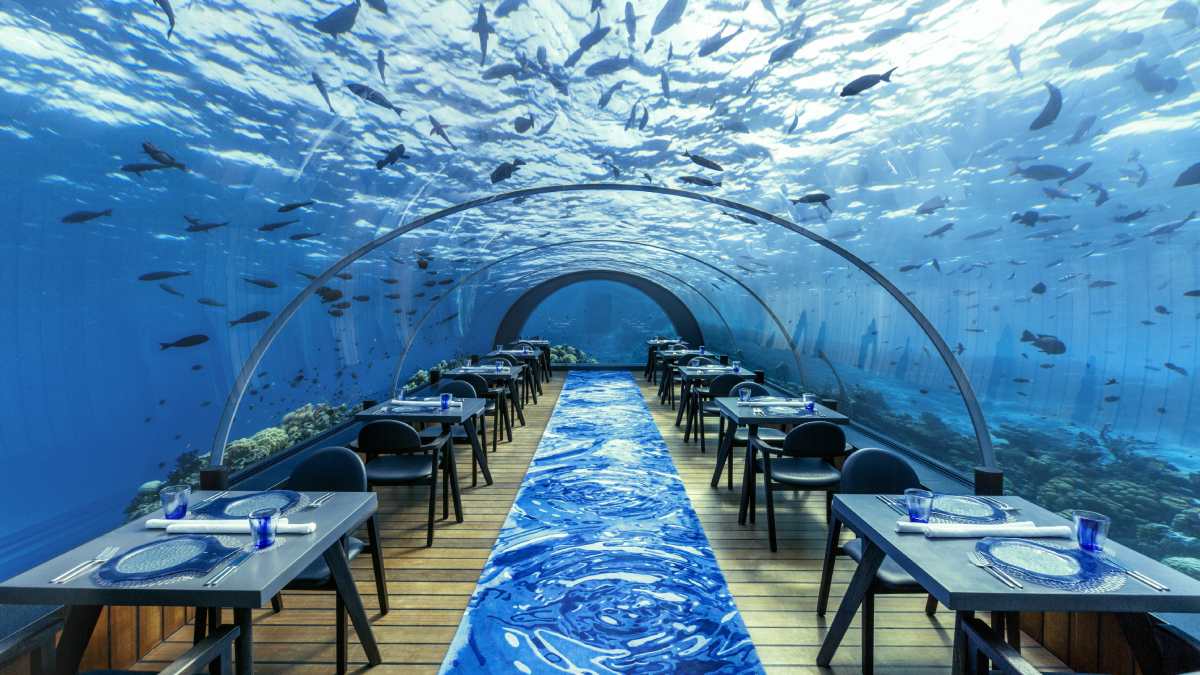 Eating surrounded by sharks: eight undersea restaurants in pictures - Tapas