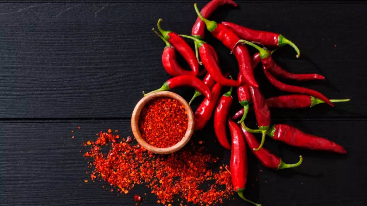 This is the 40-million-year-old chili that has just been discovered in ...