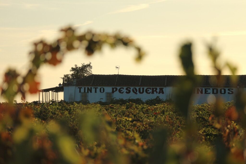 Bodegas Tinto Pesquera presents its first white wine 'Tinto Pesquera ...