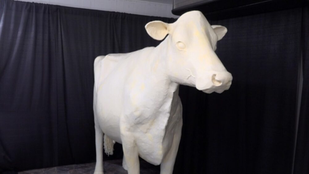 This Butter Cow sculpture made with 350 kg is a century-old tradition ...