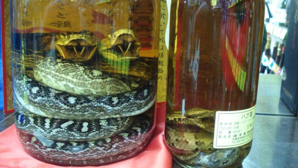 El 'whiskey' japonés de serpiente que se ha hecho viral en redes - Tapas
