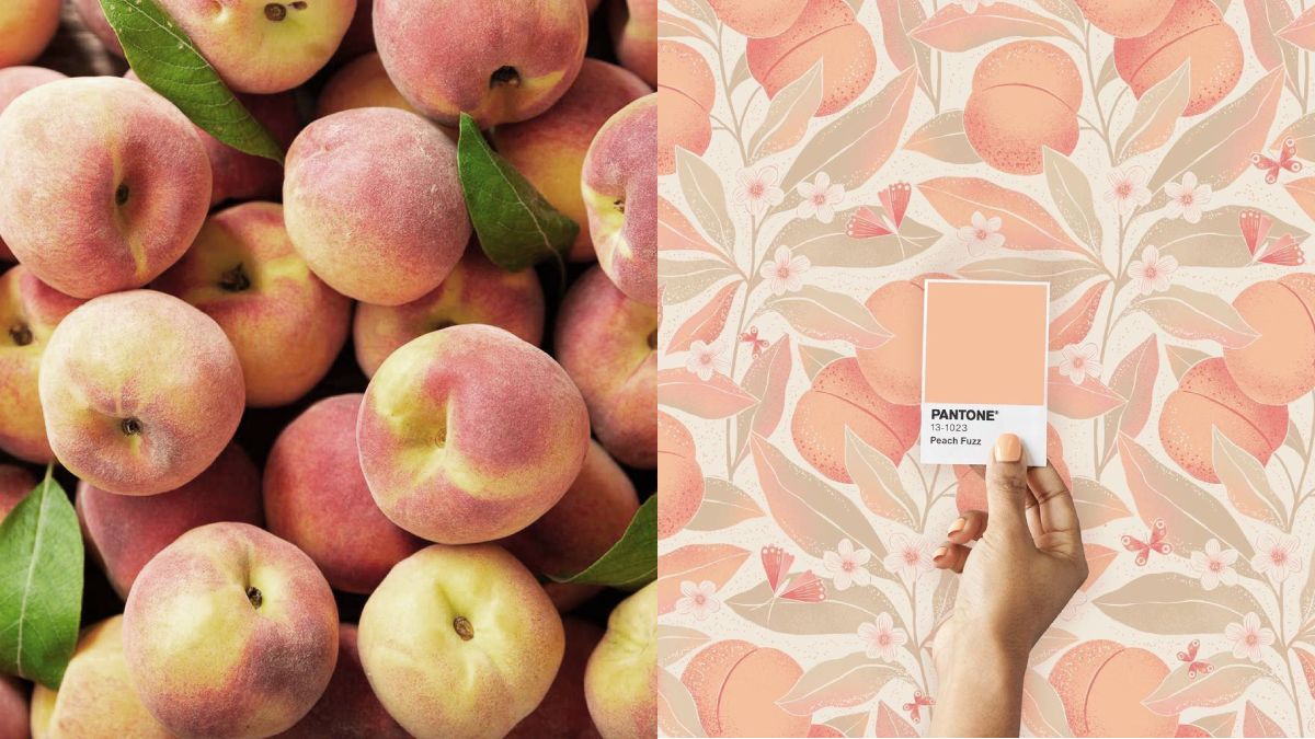 Bien de melocotón: cinco recetas inspiradas en Peach Fuzz, el color ... Bien de melocotón: cinco recetas inspiradas en Peach Fuzz, el color ...