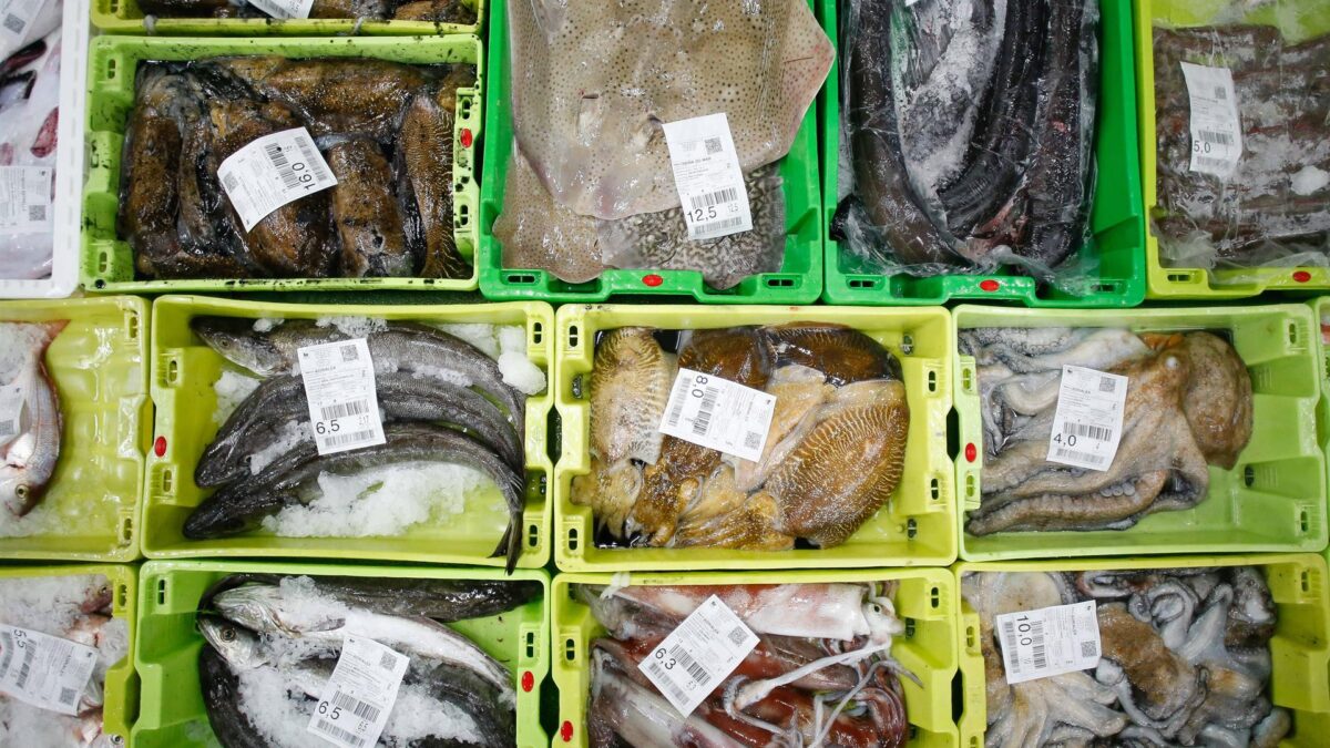 Economía/Pesca.- Representantes del sector del mar exigen a Consumo ...