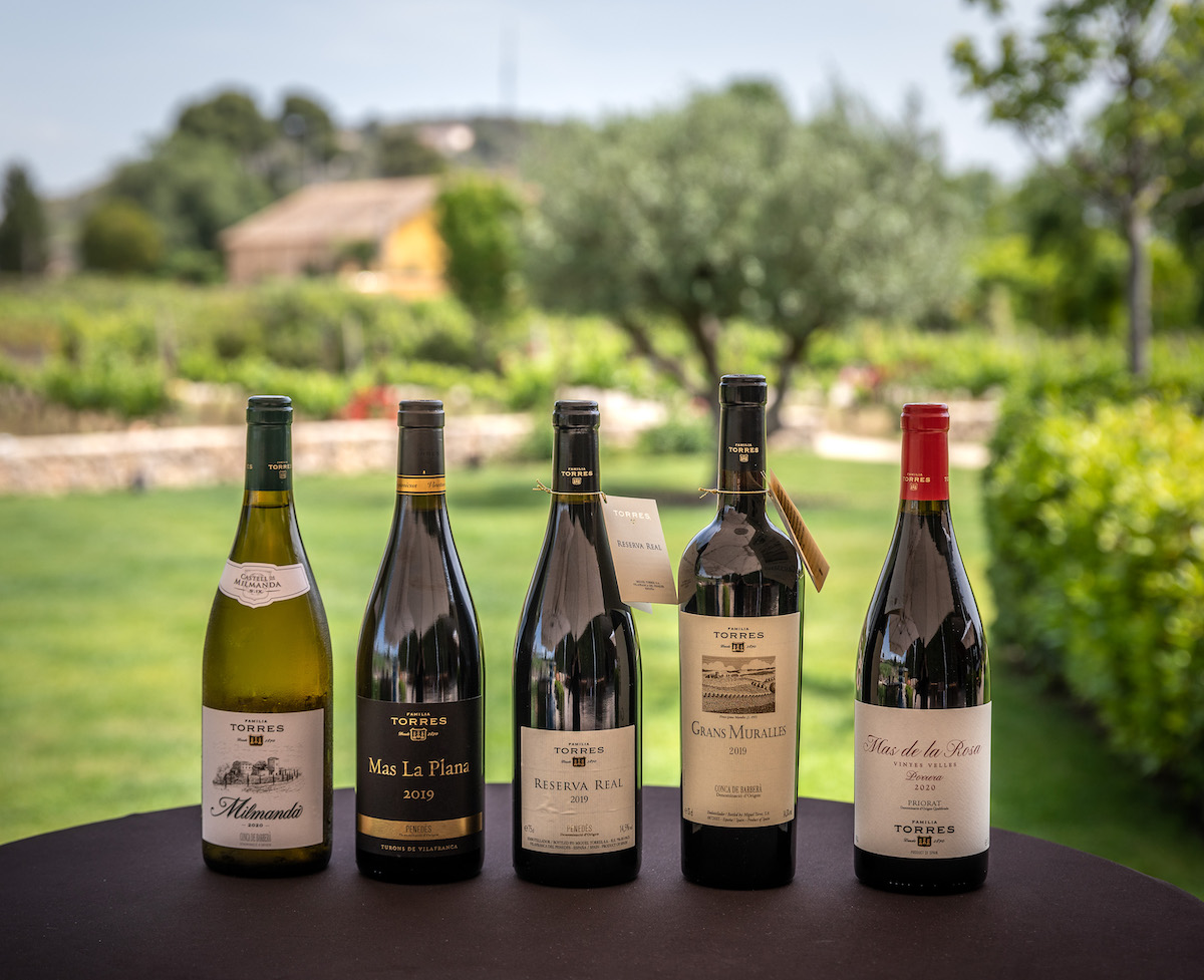 Familia Torres es la marca de vino más admirada del mundo