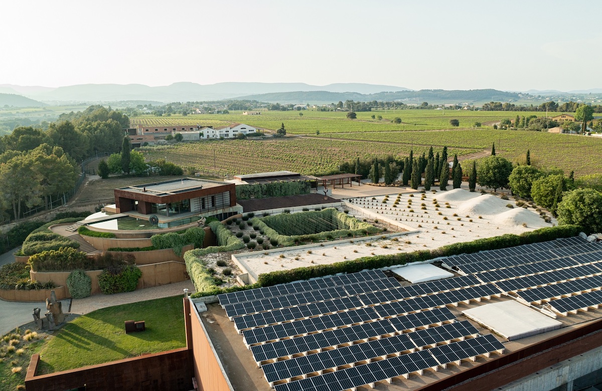 Familia Torres es la marca de vino más admirada del mundo