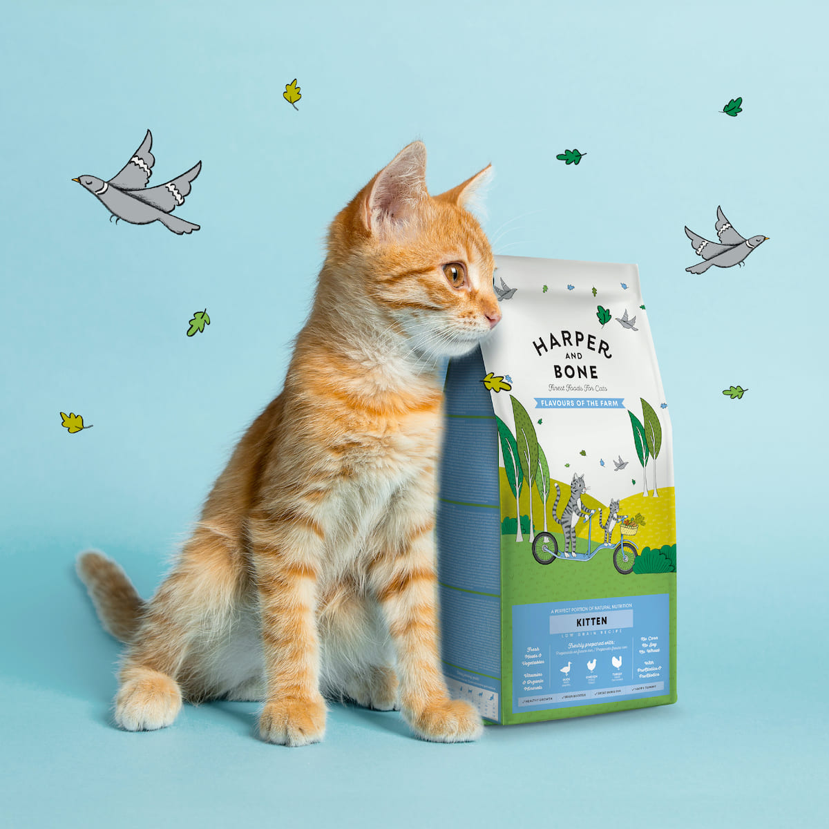 Harper & Bone, el secreto mejor guardado de los perros y gatos gourmet