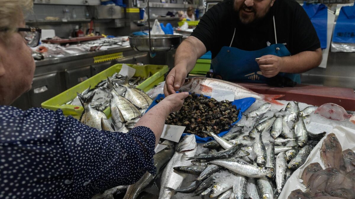 Pesca.- Los establecimientos pueden adherirse desde este viernes al ...