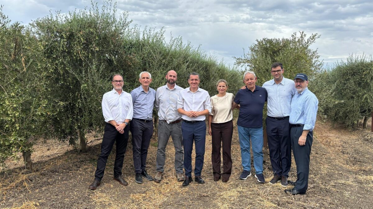 Agro.- Ordeig explora en California estrategias de crecimiento de las ...