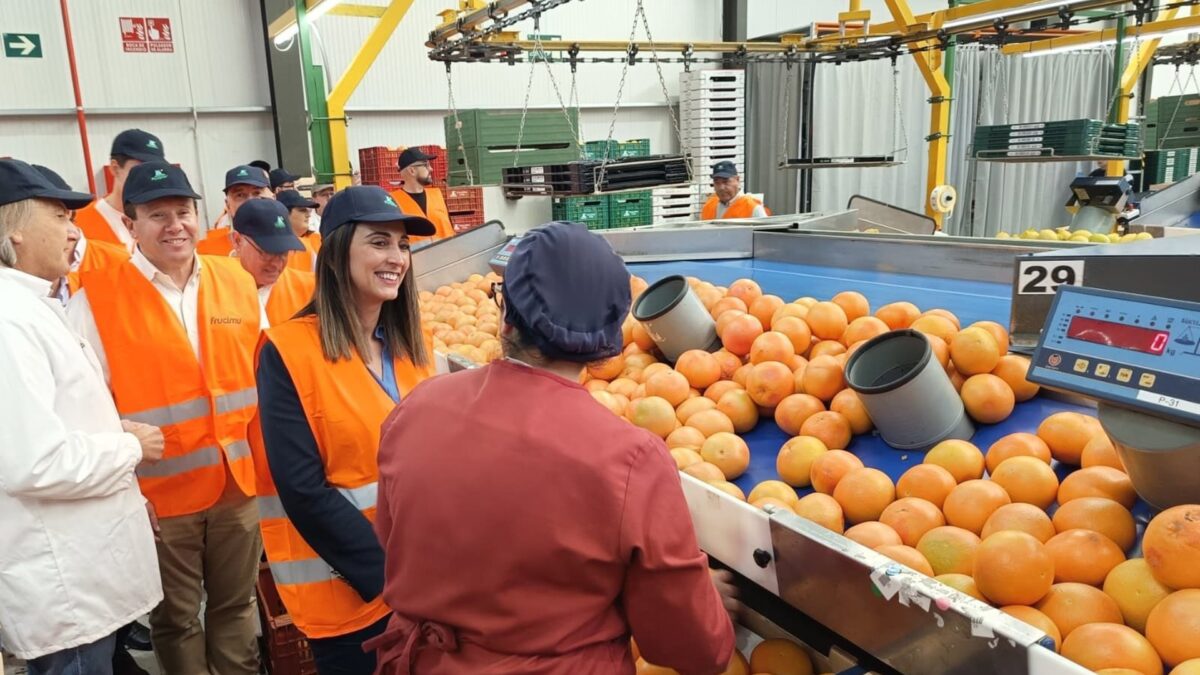 La Región exporta pomelo por valor de 18,8 millones en los ocho ...